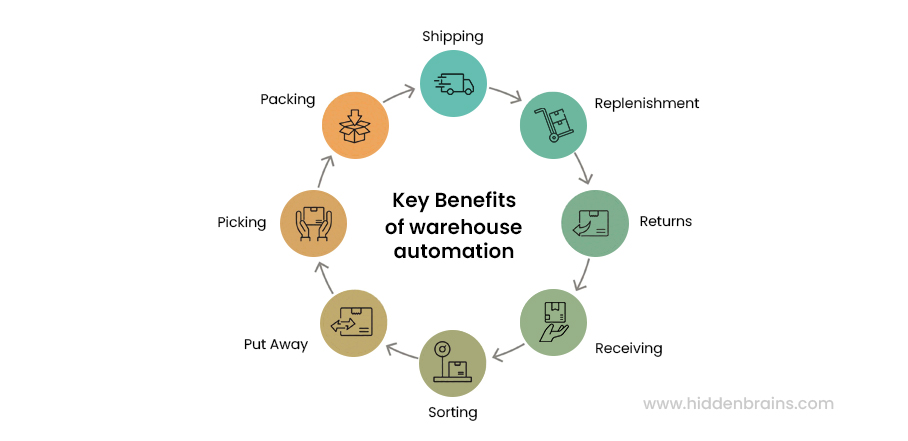Guide to Warehouse Automation: Types, Benefits, Technologies, Costs