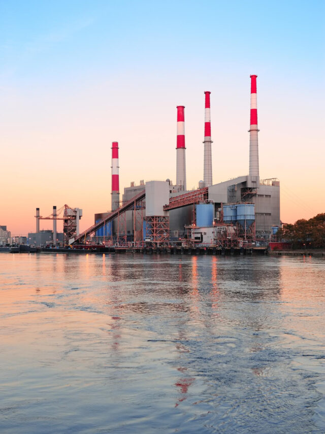 Web Stories by Hidden Brains