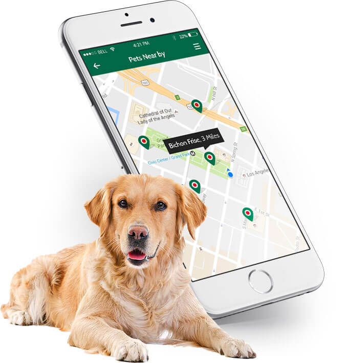 Animal Rescue App | Pet Adoption Mobile App Development for Canimx